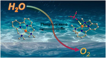 Improvement of electrocatalytic water oxidation activity of novel ...