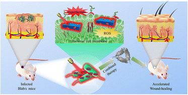PdMo bimetallene nanozymes for photothermally enhanced antibacterial ...