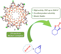 Tetracosanuclear nickel complexes as effective catalysts for ...