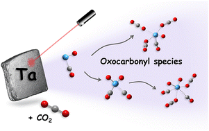 Observation of inserted oxocarbonyl species in the tantalum cation ...