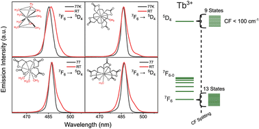 Mapping the distribution of electronic states within the 5D4 and 7F6 ...