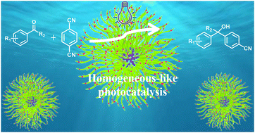 Homogeneous-like photocatalysis: covalent immobilization of an iridium ...