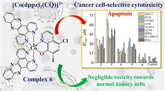 Synthesis, characterization, and cancer cell-selective cytotoxicity of ...
