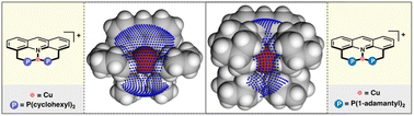 Acridine-based copper(i) PNP pincer complexes: catalysts for alkyne ...