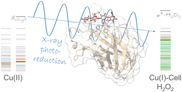 A frontier-orbital view of the initial steps of lytic polysaccharide ...