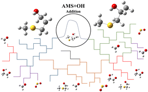 Mechanistic study of the complex photooxidation of allyl methyl sulfide ...