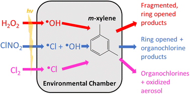 Products With Xylene