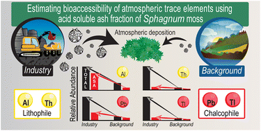Estimating the bioaccessibility of atmospheric trace elements within ...