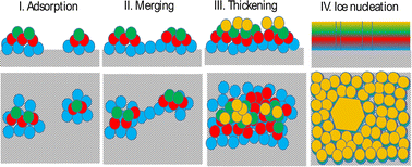 The molecular scale mechanism of deposition ice nucleation on silver ...
