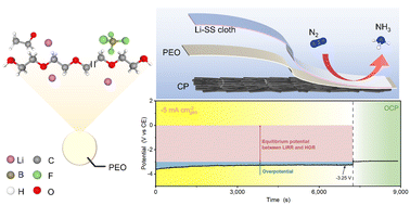 Membrane electrode assembly design for lithium-mediated electrochemical ...