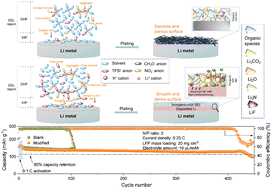 Prolonging the cycling lifetime of lithium metal batteries with a ...