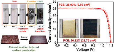 Phase transition engineering for effective defect passivation to achieve highly efficient and ...