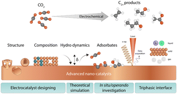Electrochemical reduction of carbon dioxide to multicarbon (C2 ...