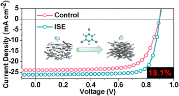 Film-formation dynamics coordinated by intermediate state engineering ...