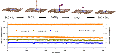 Single atom catalysts for triiodide adsorption and fast conversion to ...