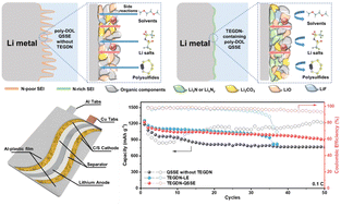 Towards durable practical lithium–metal batteries: advancing the ...