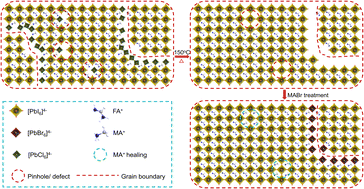 Crystallization dynamics and stabilization of FAPbI3 single-phase ...