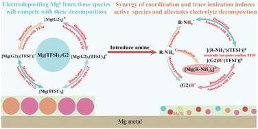 Synergy between the coordination and trace ionization of co-solvents ...