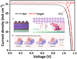 Constructing robust heterointerfaces for carrier viaduct via ...