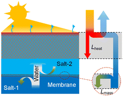 Solar evaporation with solute replacement towards real-world ...