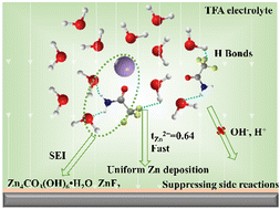 Highly reversible and stable Zn metal anodes realized using a trifluoroacetamide electrolyte ...