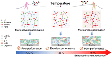 Unraveling the temperature-responsive solvation structure and ...