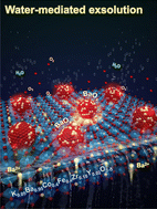 Water-mediated exsolution of nanoparticles in alkali metal-doped ...