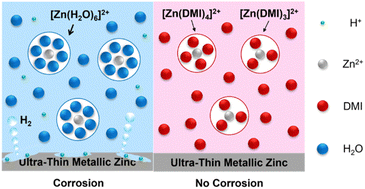 A corrosion-free zinc metal battery with an ultra-thin zinc anode and ...