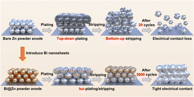 Zinc iso-plating/stripping: toward a practical Zn powder anode with ...