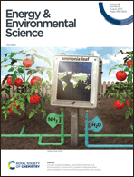 Inside front cover - Energy & Environmental Science (RSC Publishing)