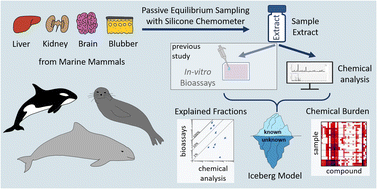 Characterizing the marine mammal exposome by iceberg modeling, linking ...