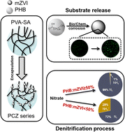 Groundwater denitrification enhanced by a hydrogel immobilized iron ...