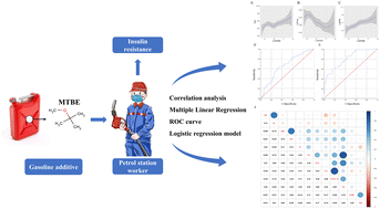 MTBE exposure may increase the risk of insulin resistance in male gas ...