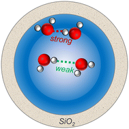 Structure and energetics of hydrogen bonding networks in dilute HOD/H2O ...