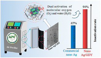 Insights into efficient bacterial inactivation over nano Ag/graphdiyne ...
