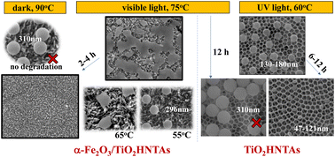 A novel route for microplastic mineralization: visible-light-driven ...