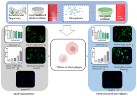 Elucidating the effects of naturally weathered aged-polypropylene ...