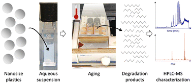 Extensive HPLC-tandem mass spectrometry characterization of soluble ...