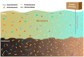 Nanobubbles can modulate microbial communities and sedimentary ...