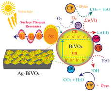 Simultaneous elimination of toxic dyes, ciprofloxacin and Cr(vi ...