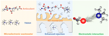 Exploring the electrostatic interaction mechanism of polyaspartic acid ...