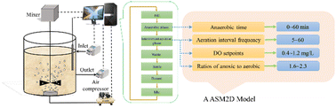 Functional guild dynamics in a single-sludge shortcut nitrogen and ...