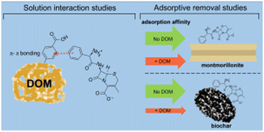 Cephalexin interaction with biosolids-derived dissolved organic matter: binding mechanism and ...