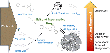 Removal mechanisms of illicit and psychoactive drugs in different ...