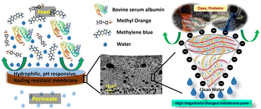 Functionalized hexagonal boron nitride sheets and charge triggered ...