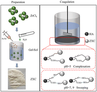Insighting the interaction mechanism of zirconium xerogel coagulants ...
