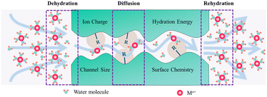 Mechanism of lithium ion selectivity through membranes: a brief review ...