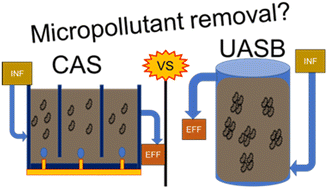Differential biotransformation of micropollutants in conventional ...