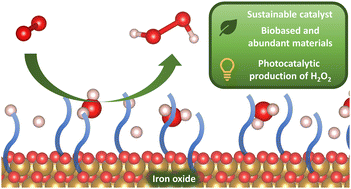 Iron oxide-promoted photochemical oxygen reduction to hydrogen peroxide ...