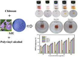 Preparation and characterization of indicator films from chitosan ...